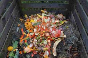 Backyard Composting: A Complete Guide - GardenerSite